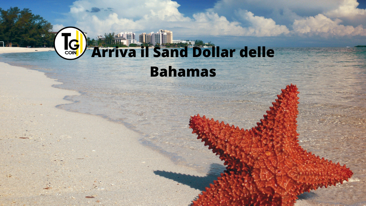 Sand Dollar Bahamas: Progetto Internazionale - Mondo Crypto
